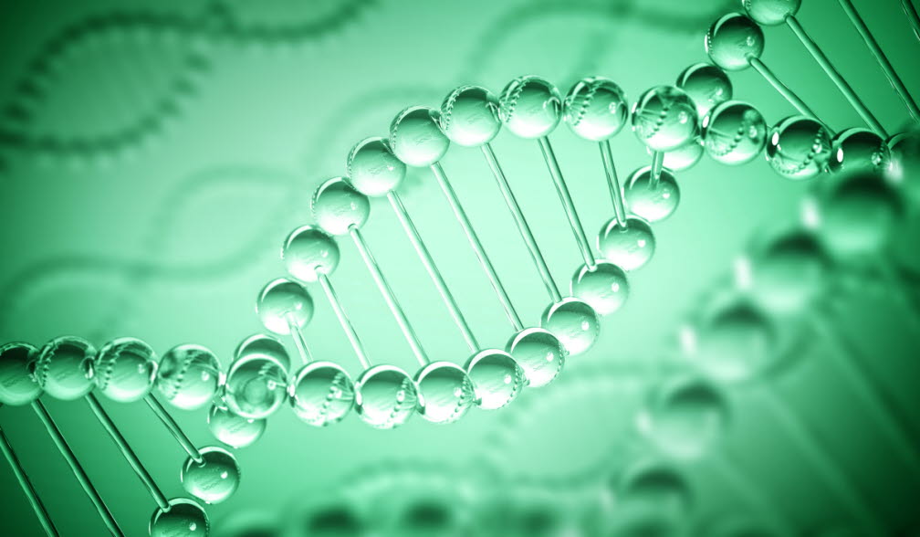 Industries - Business Sweden